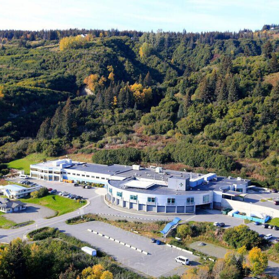 Updates & Publications | Homer Foundation