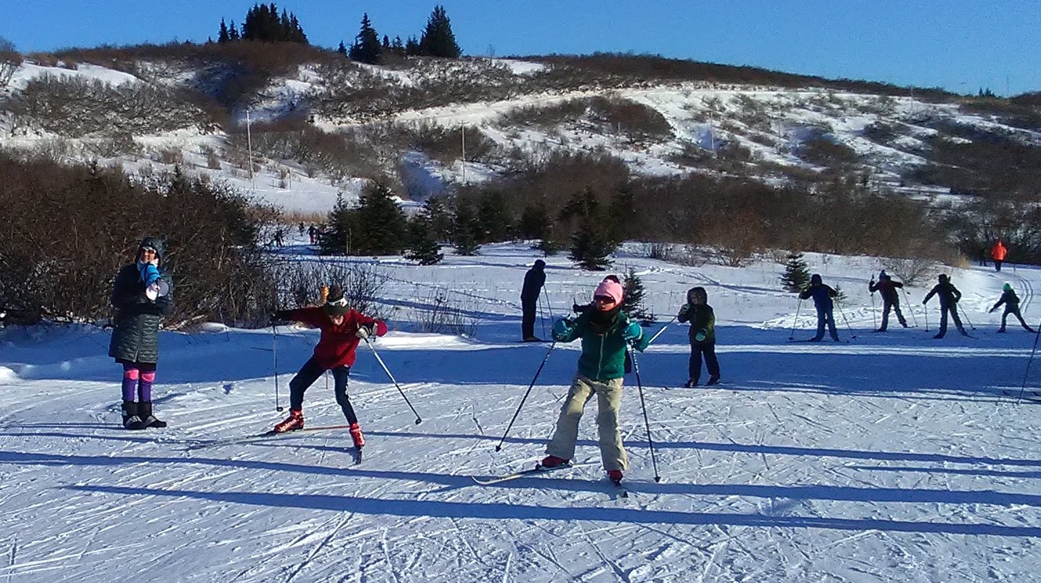 March 2021 Newsletter: One Year Later | Homer Foundation